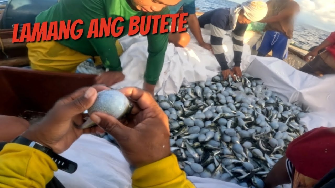 Lamang pa ang butete kayla galunggong Ang nahuli namin. - YouTube