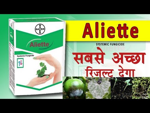 Bayer Aliette Fungicide/Fosetyl AL/True Systemic Fungicide - YouTube