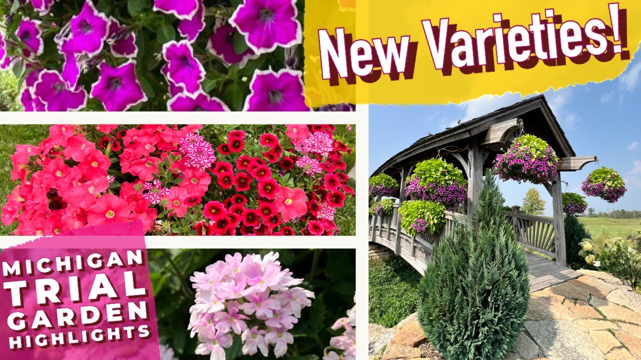 New Varieties Tour at the Proven Winners Display Gardens and Container ...