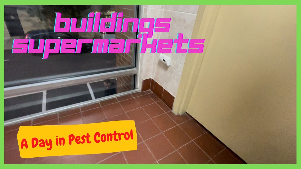 How to do pest control in Building and Supermarkets. - YouTube