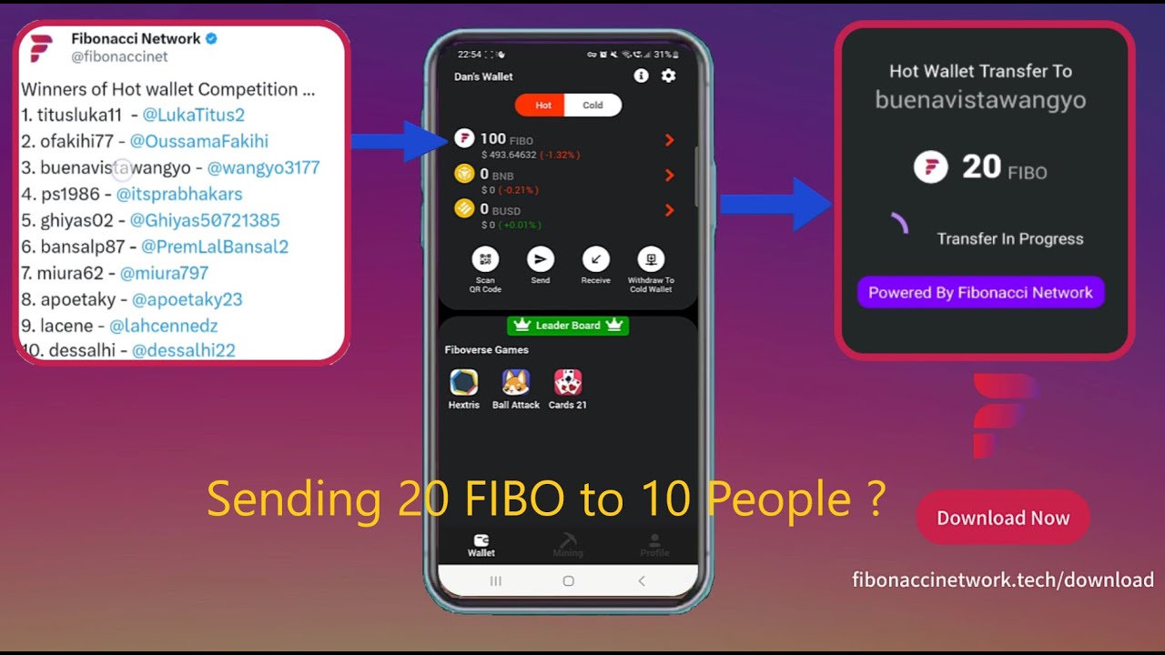 Fibonacci Wallet : Sending 20 FIBO coins to 10 winners without gas fees ...