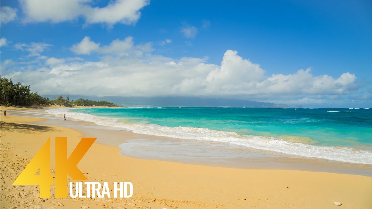 4K Nature Documentary Film - Maui, Hawaii - Short Preview Video - YouTube