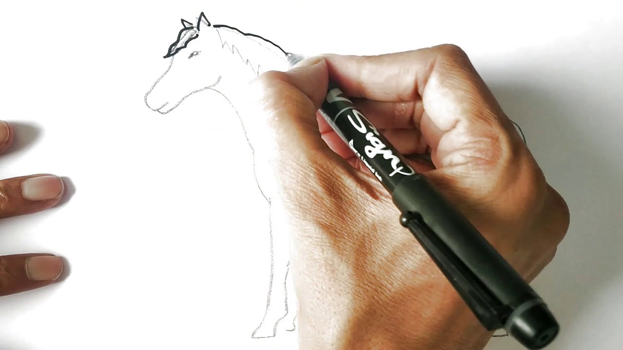 How to draw horse pencil pen easy Step by step drawing - YouTube