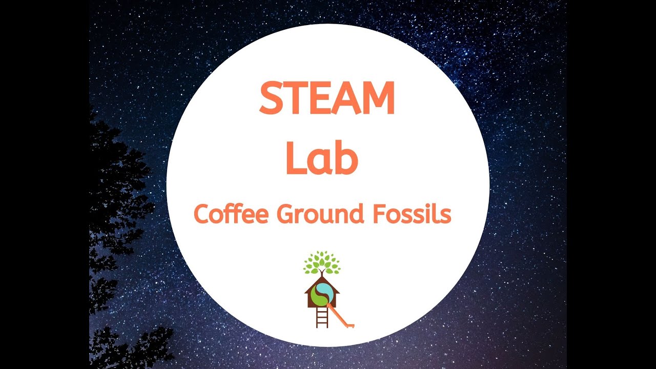 Simple Science | Coffee Ground Fossils - YouTube