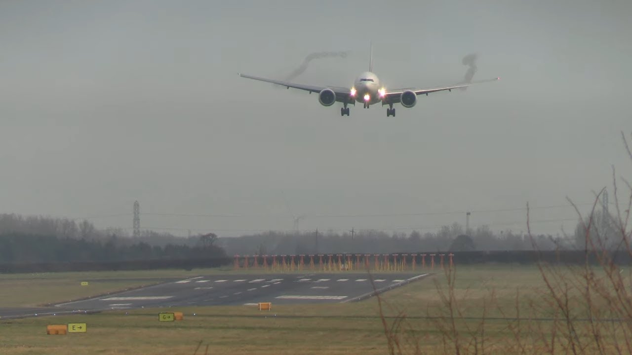 Friday morning arrivals and departures including some wing fluff at ...