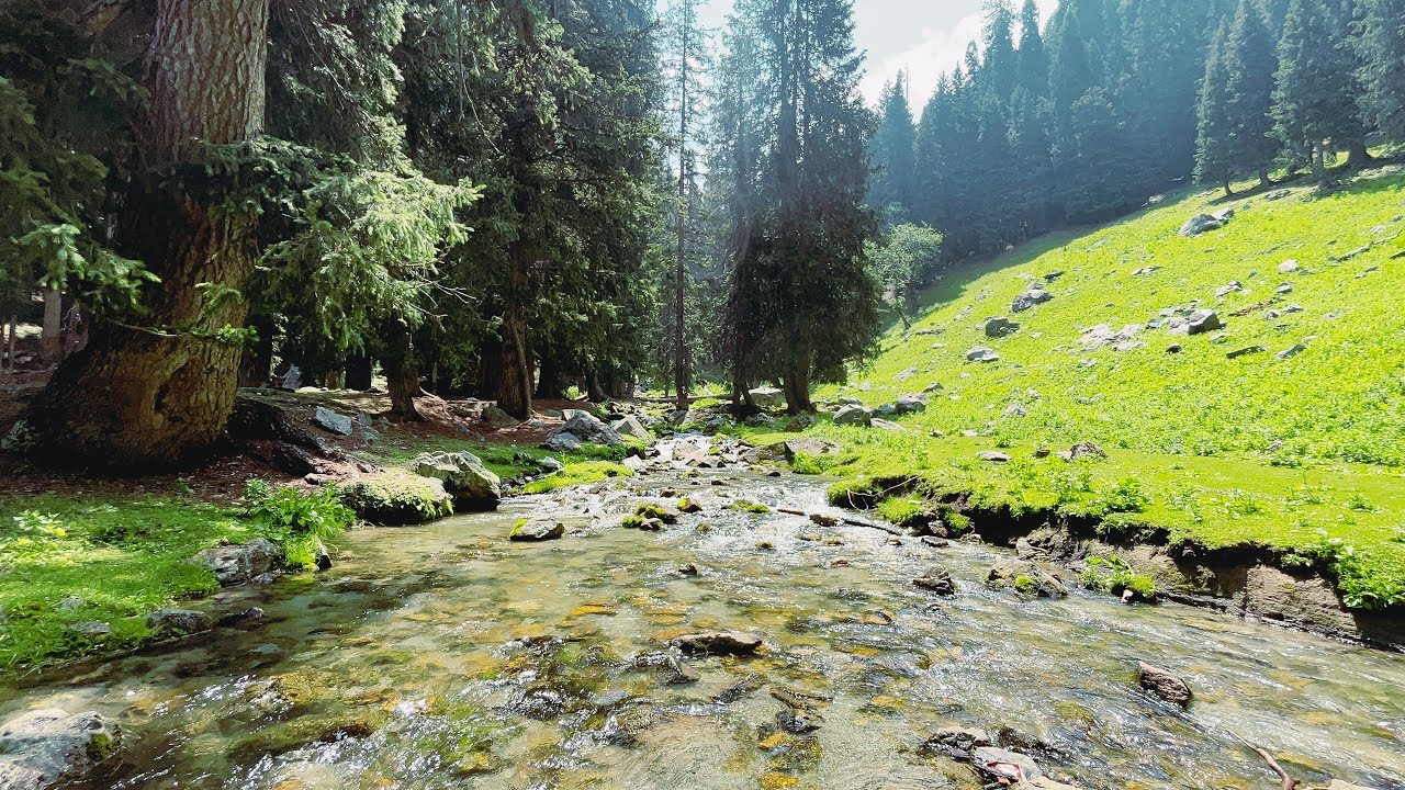 Golden Hour Gentle Mountain Stream River | 4K HDR Flowing Water Nature ...