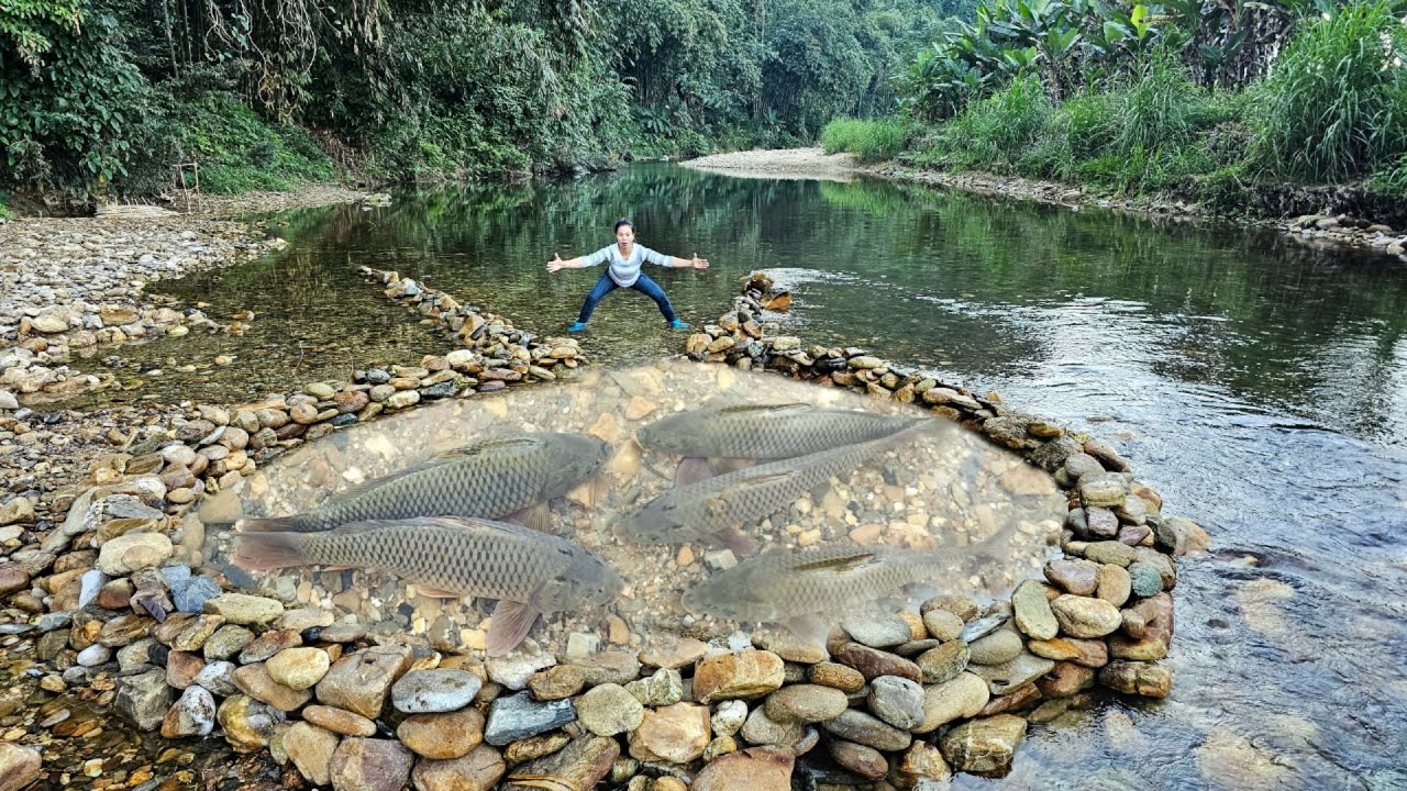 Unique fishing skills, Ana arranged the rocks to form a trap matrix and ...
