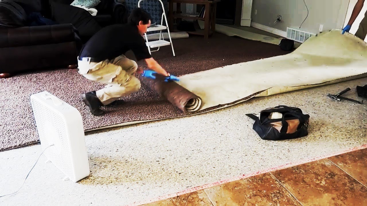 Water Mitigation Equipment Dallas TX - Call Now 469 620 8443 - YouTube