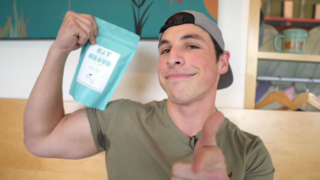 Night Shift | Cat & Cloud Coffee - YouTube