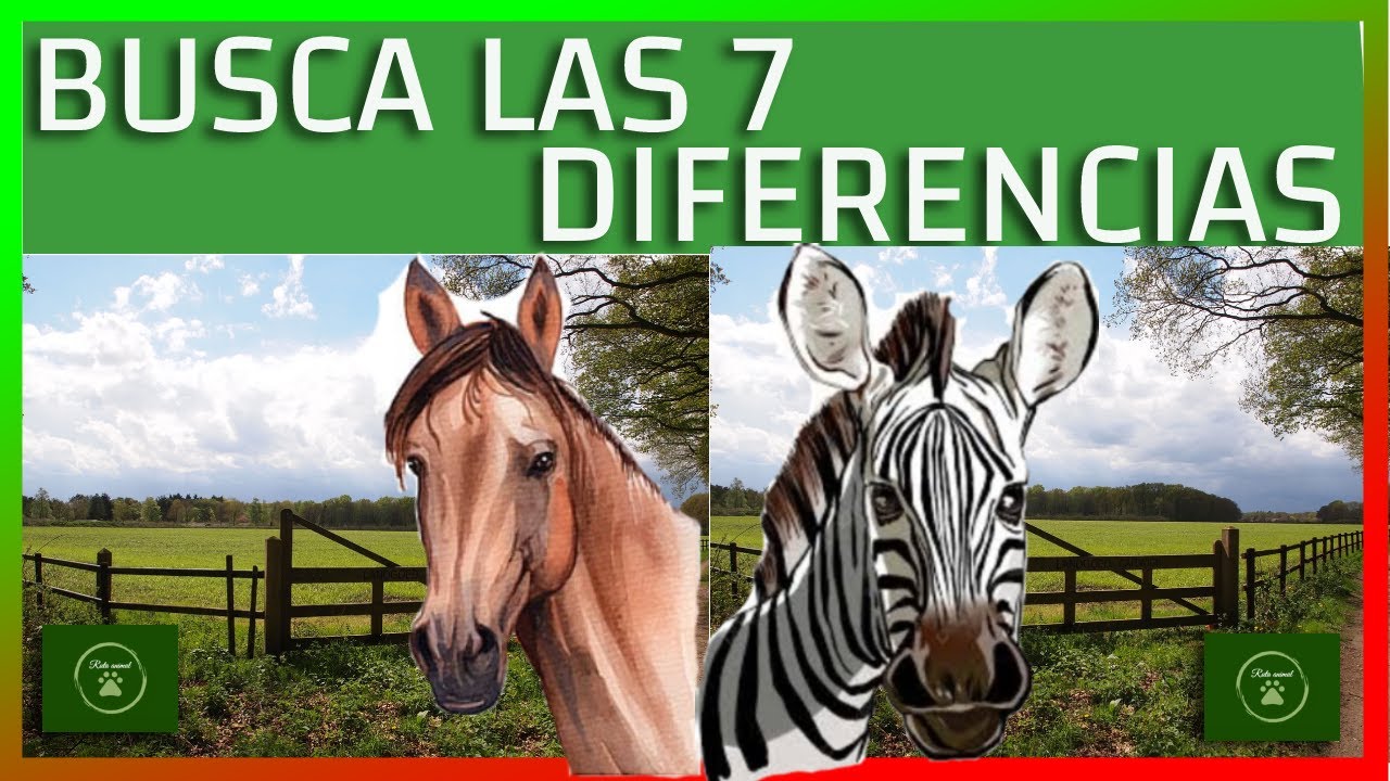 BUSCA LAS 7 DIFERENCIAS CABALLO VS CEBRA - YouTube