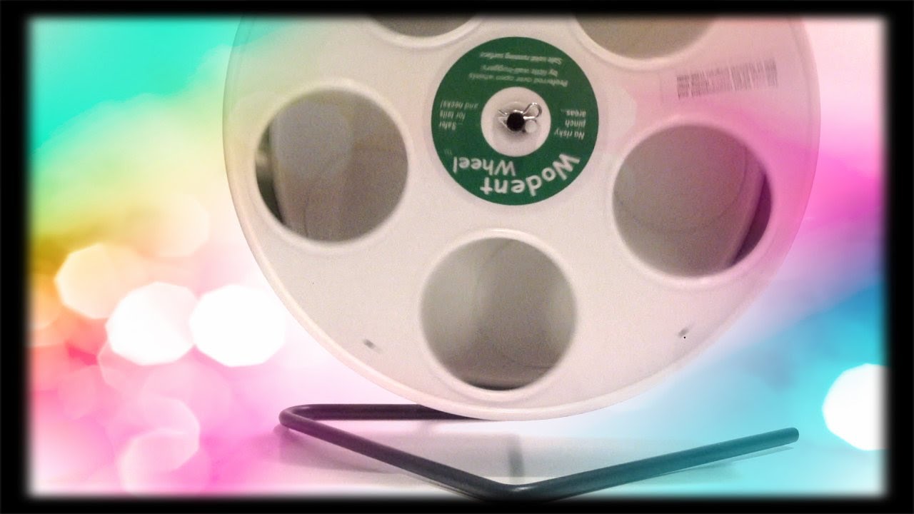 How To Make Your Wodent Wheel Run Smoother! - YouTube