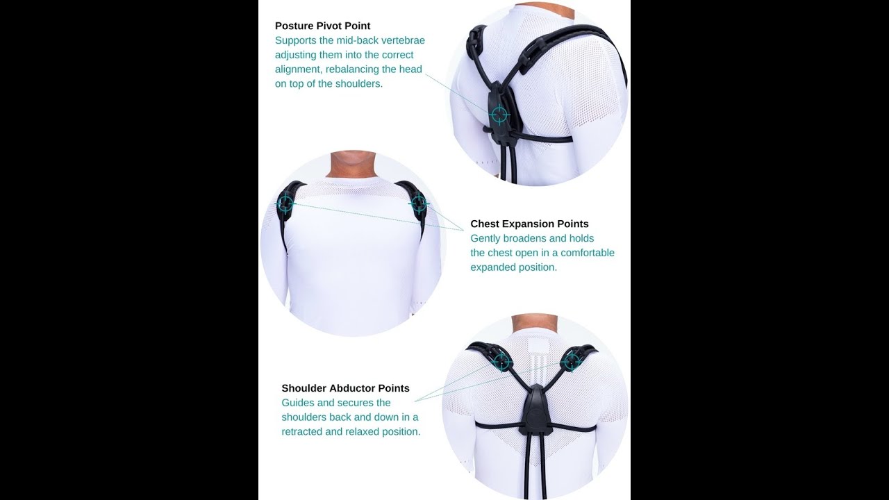 ERGO Posture Pro: Powerful Support for Perfect Posture review - YouTube