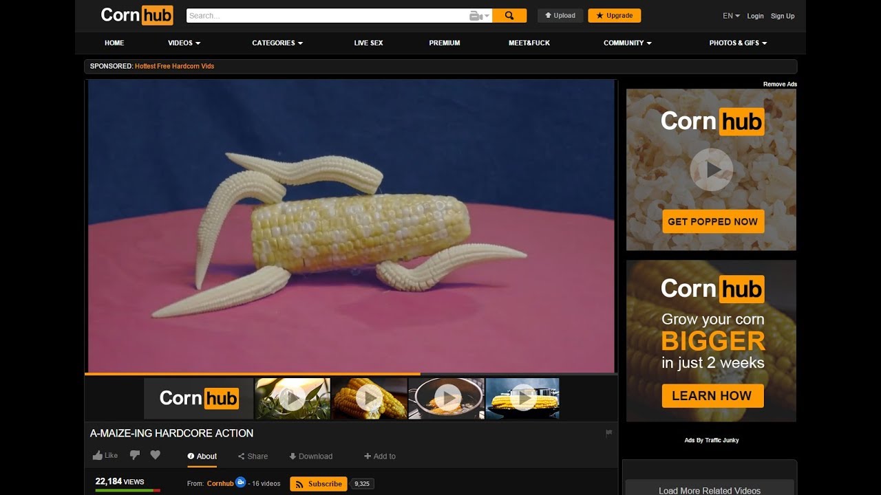 First Few Seconds With Cornhub.com - YouTube