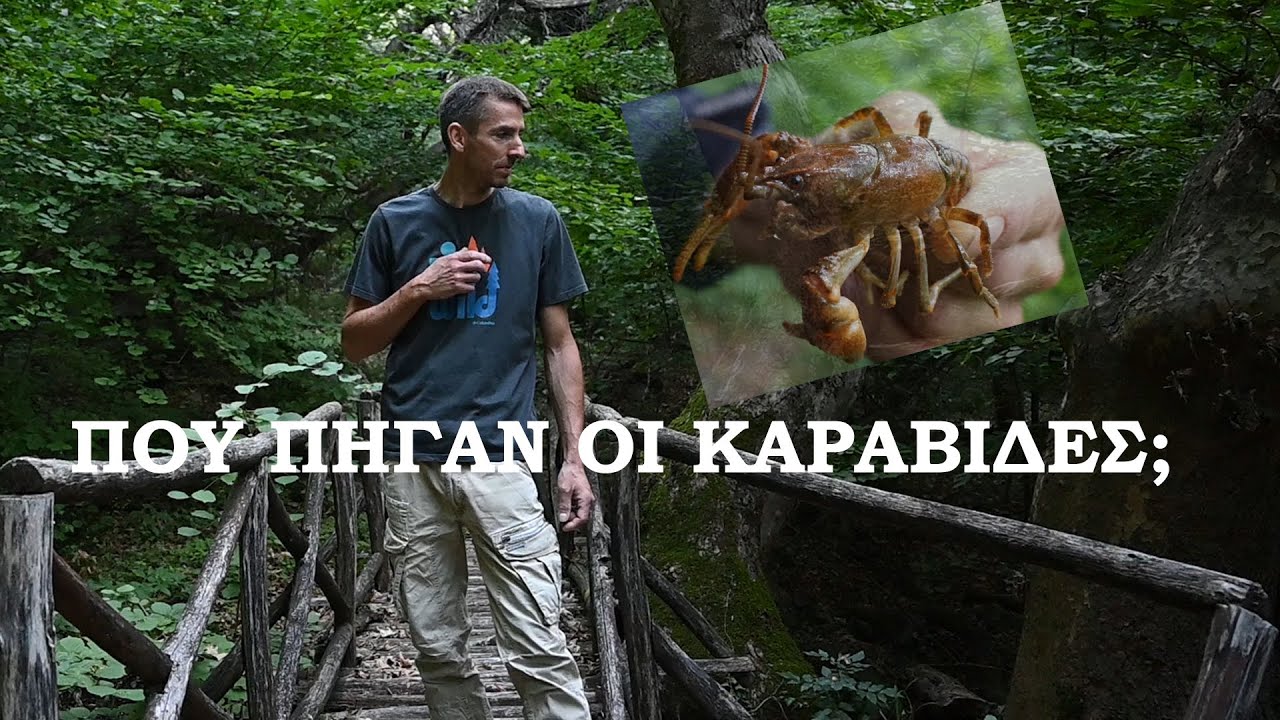 Που πήγαν οι καραβίδες; - YouTube