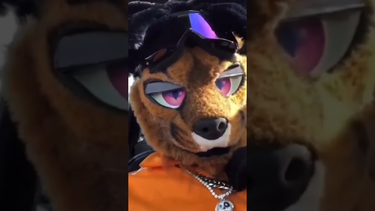 carti valid furry | #shorts - YouTube