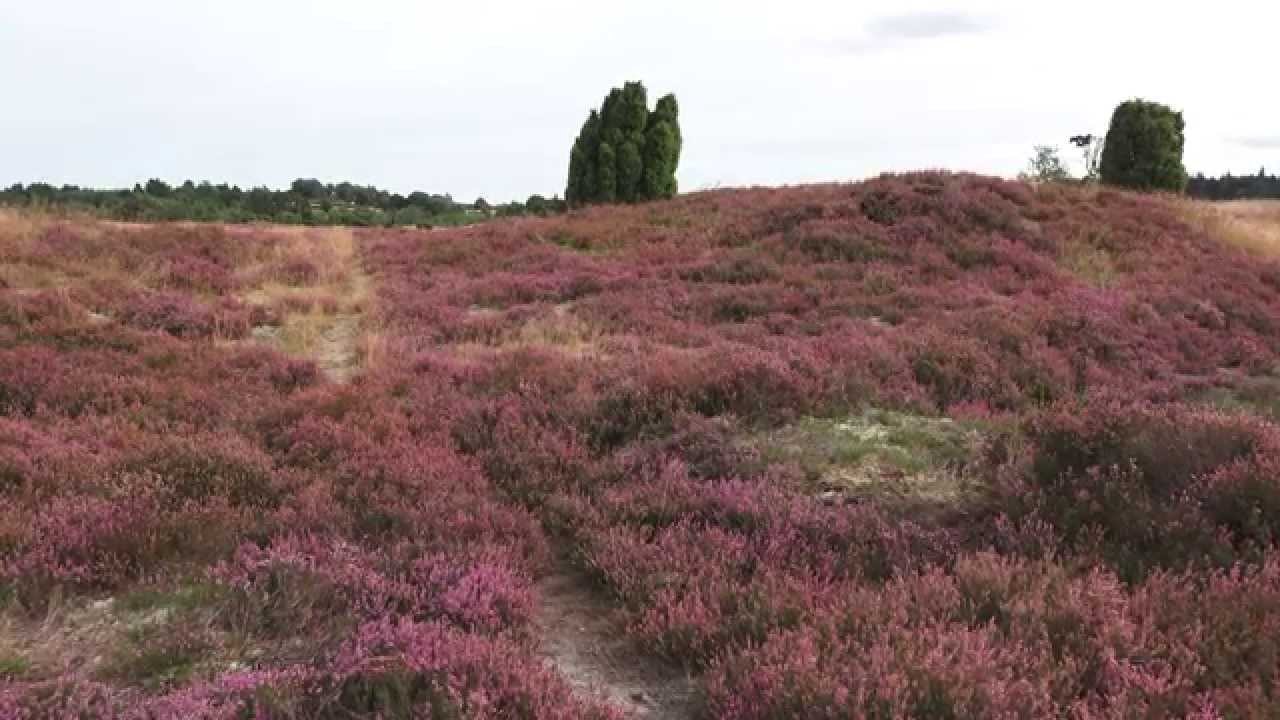 Late Summer in Western Jutland, Denmark (4K video!) - YouTube