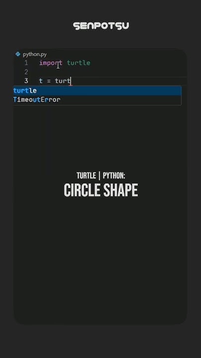 Python Turtle Circle Pattern - YouTube