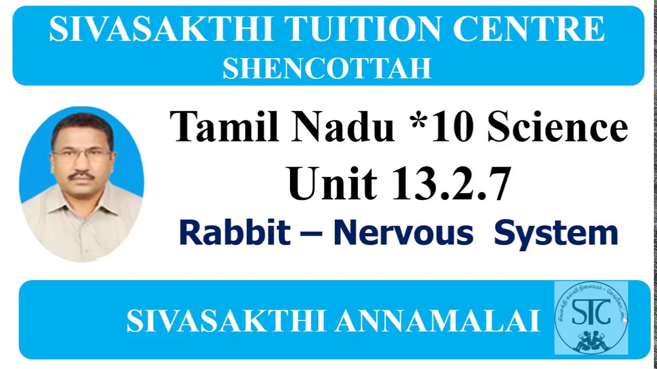 10 Science * Unit 13. 2. 7 * Nervous System of Rabbit - YouTube