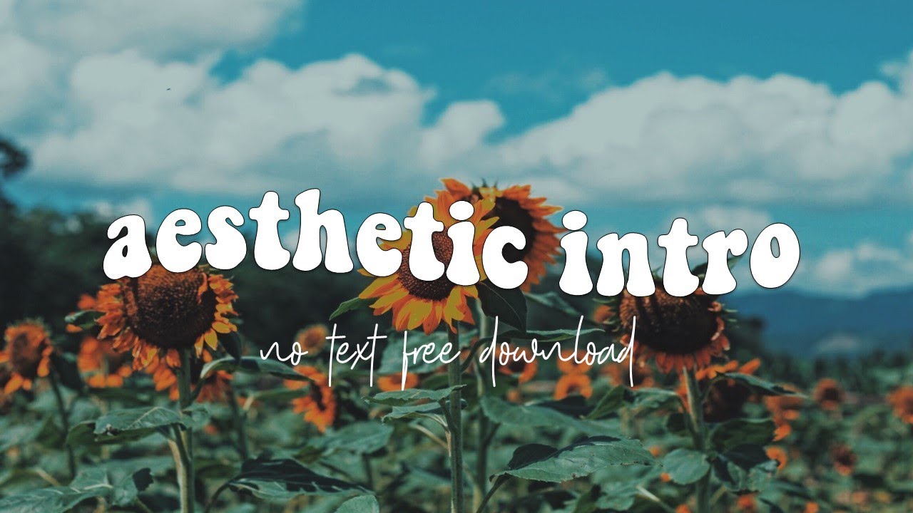 aesthetic intro templates (no text) - YouTube