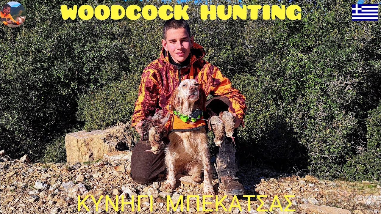 Κυνήγι Μπεκάτσας 2024-2025/Woodcock Hunting 2024-2025/Caccia alla ...