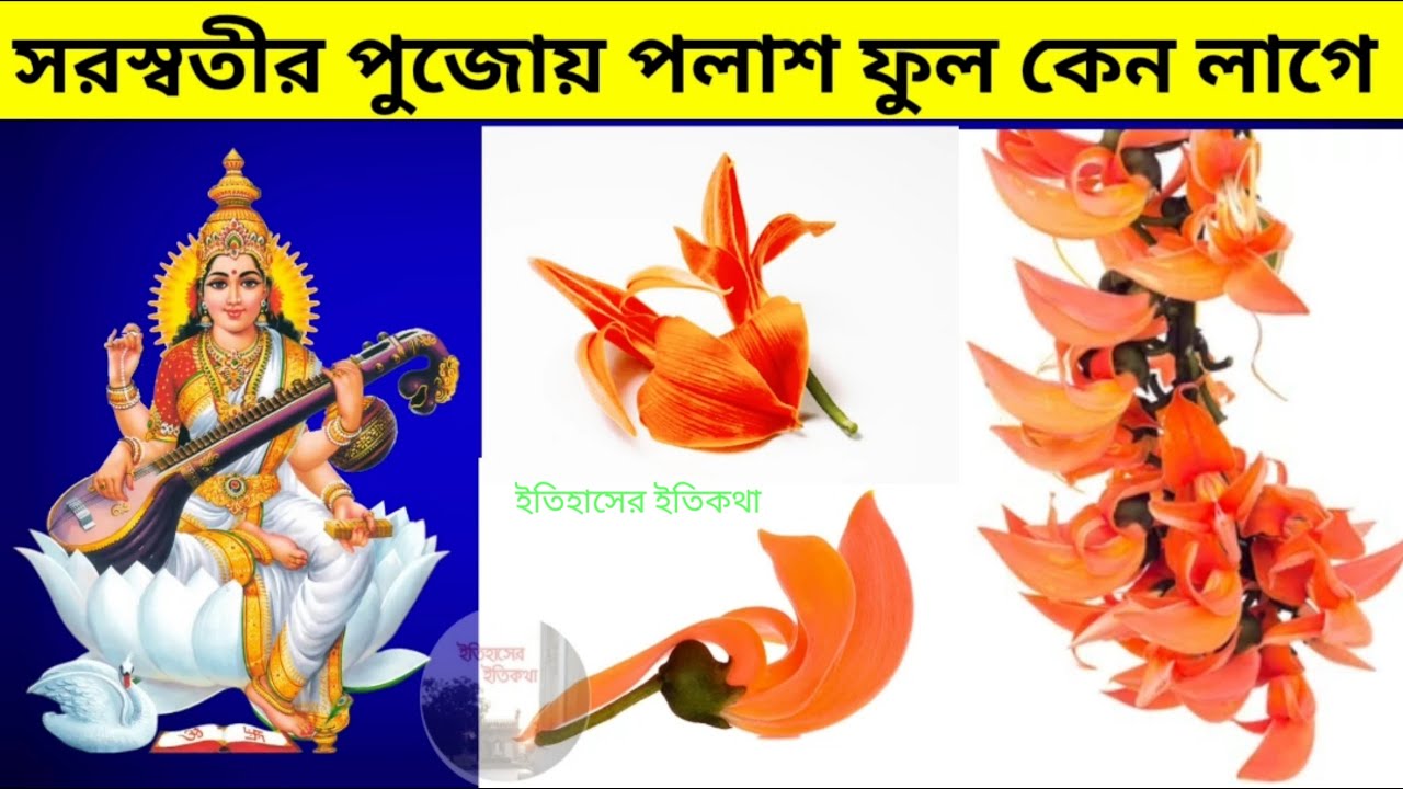 বসন্ত পঞ্চমী সরস্বতীর পুজোয় পলাশ ফুল কেন লাগে | Saraswati Puja Vidhi ...