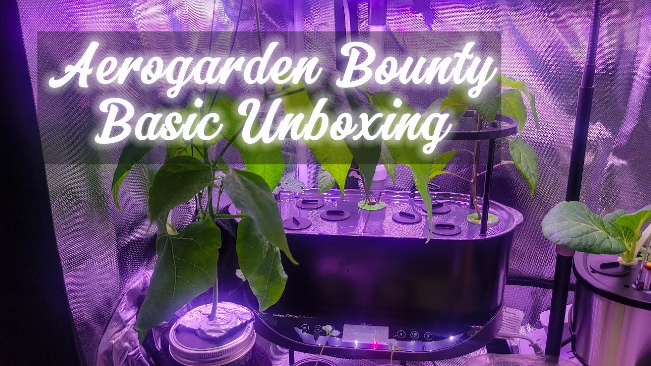 Aerogarden Bounty Basic Unboxing - YouTube