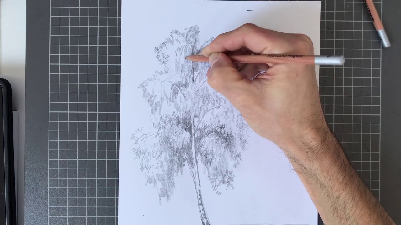 JAK RYSOWAĆ DRZEWA OŁÓWKIEM - YouTube