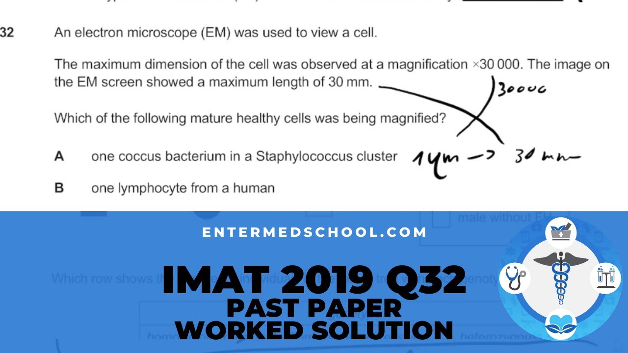 IMAT 2019 Past Paper | Q32 | Biology | Worked Solution (OLD) - YouTube