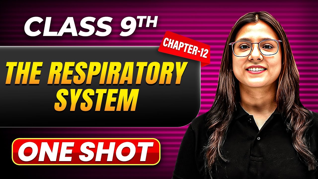 THE RESPIRATORY SYSTEM in One Shot | Class 9 BIOLOGY | ICSE Board - YouTube