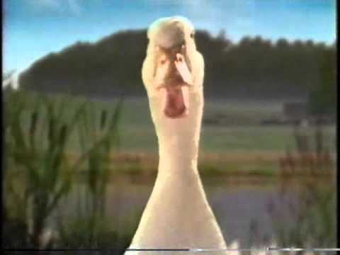 Arcadia duck hunt commercial - YouTube