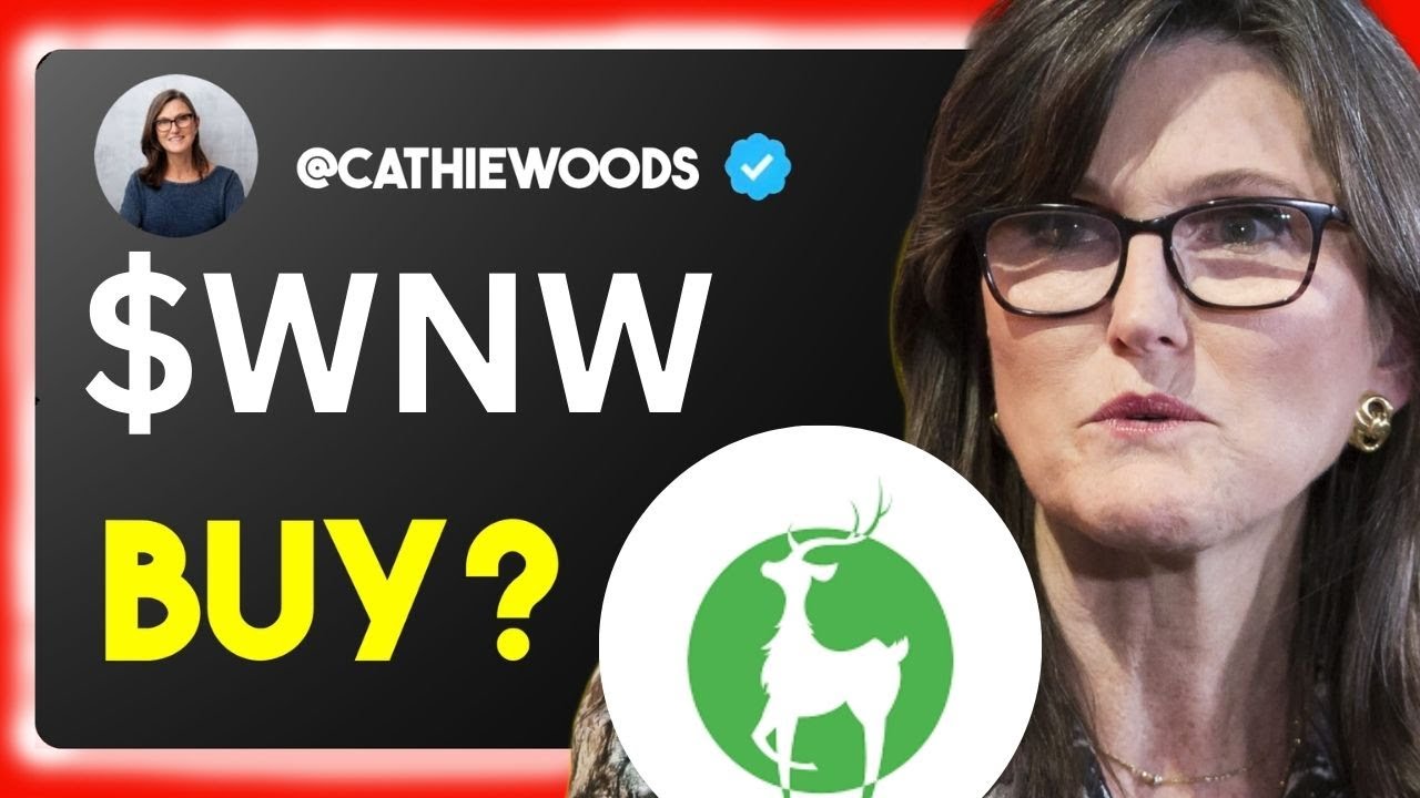 WNW Stock (Meiwu Technology stock) WNW STOCK analysis with the WNW ...