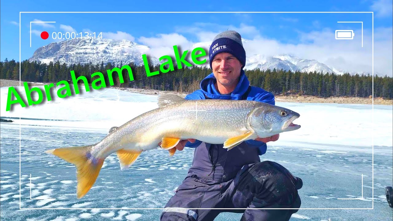 Ice Fishing Abraham Lake in Alberta, Big Lake Trout - YouTube