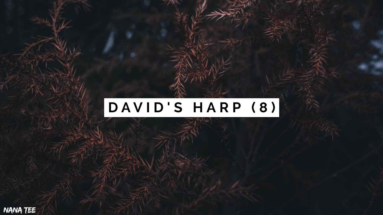 David's Harp (8) | 1 Hour Relaxing Music & Encouraging Scriptures ...
