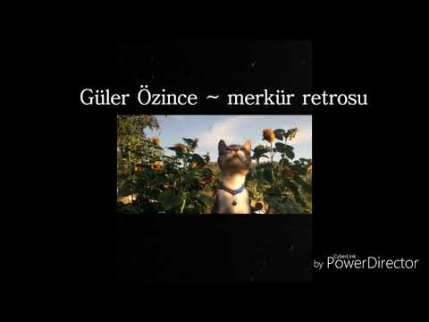 Güler Özince | Merkür Retrosu