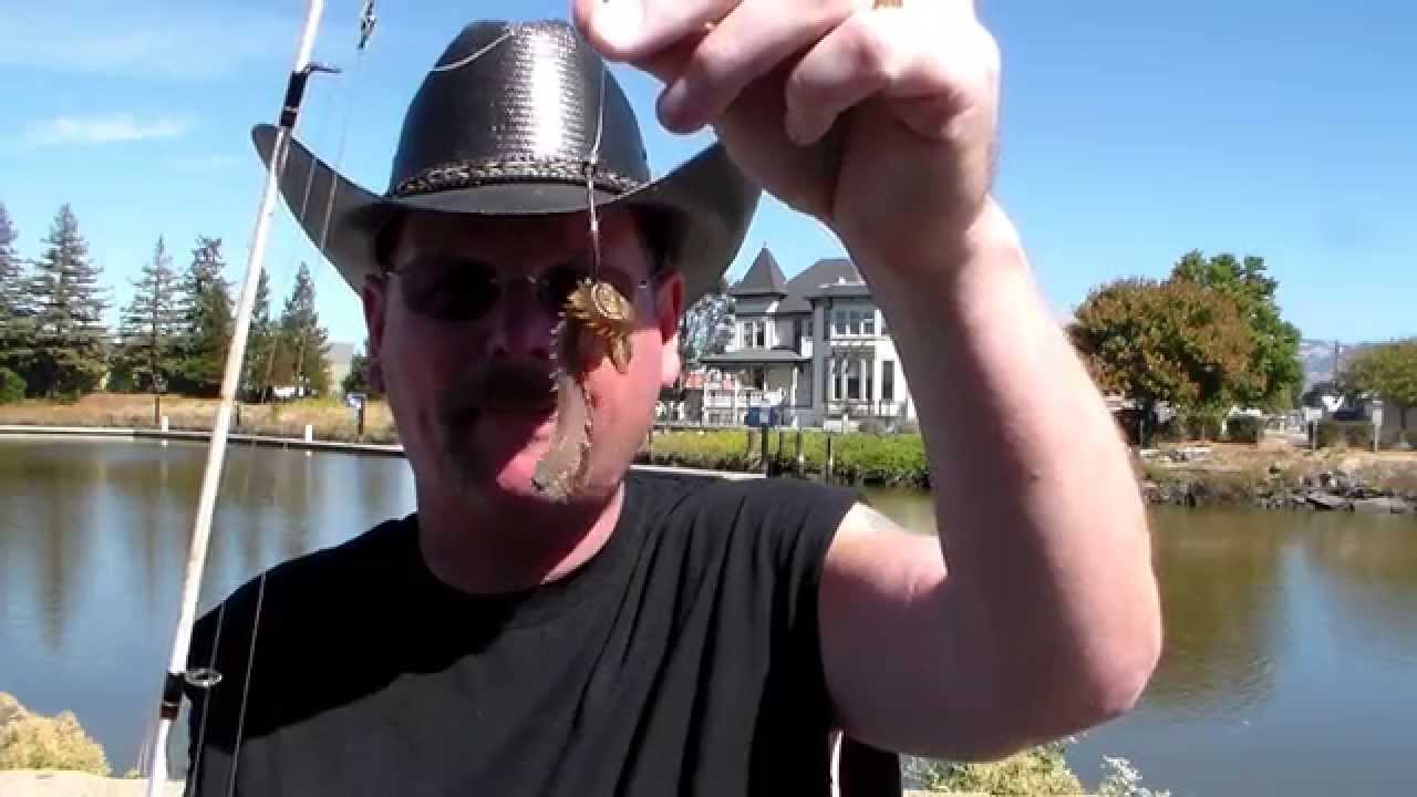 Fishing in the Petaluma River-First Time Using Pile Worms for Bait ...