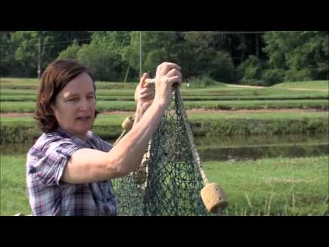 What is a seine net and how do you use it. - YouTube