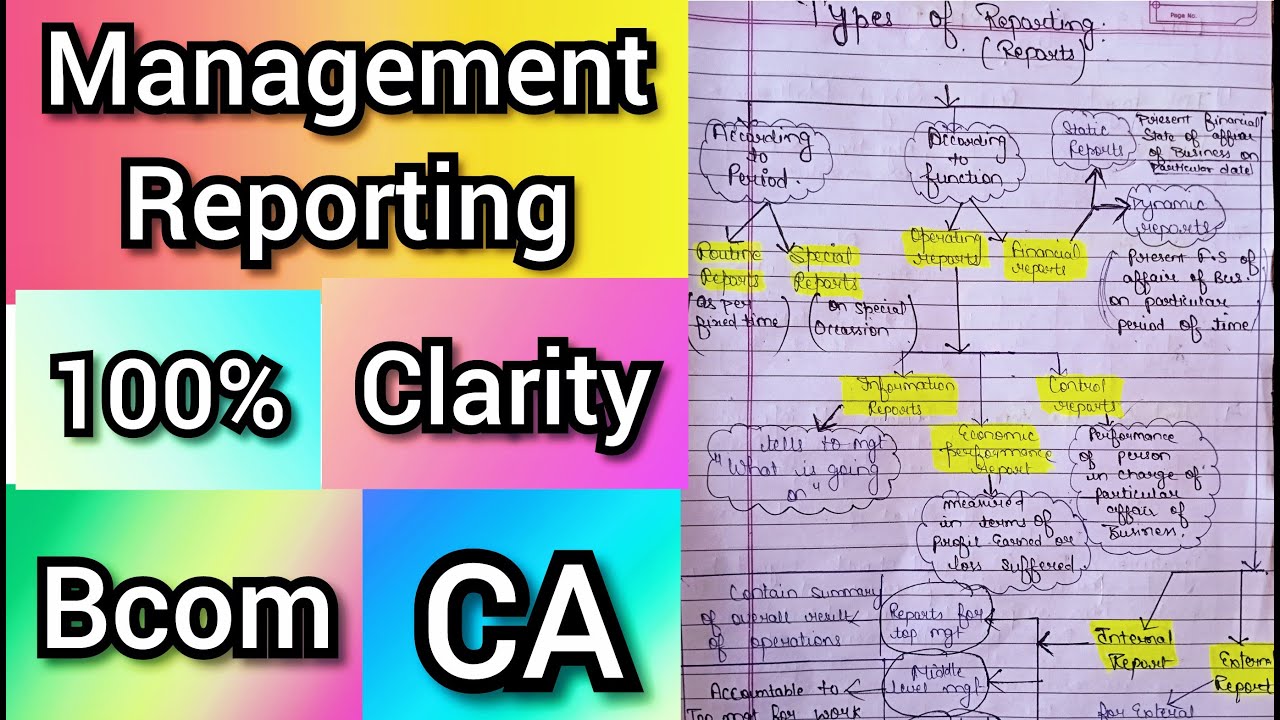 Management Reporting - YouTube