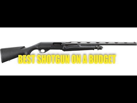 BEST SHOTGUN ON A BUDGET!!! - YouTube