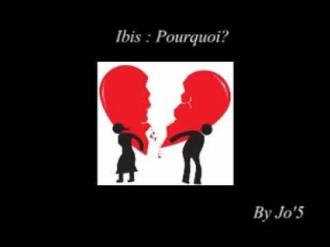 Ibis : Pourquoi?