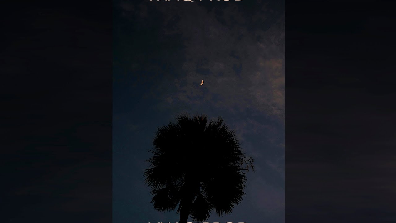 Arabic Vibe Beat - Fleeting | Dark Atmosphere Trap Beat 2025 - YouTube