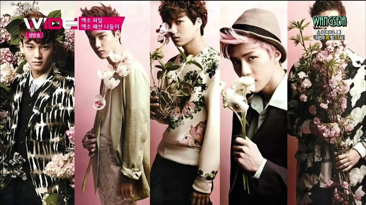 [ENGSUB] EXO File #4 - YouTube