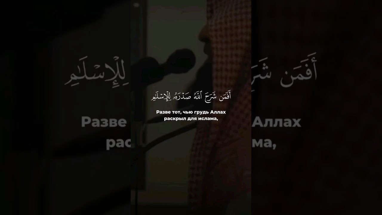 Surah Az-Zumar : 22 / Muhammad Al-Luhaidan - YouTube