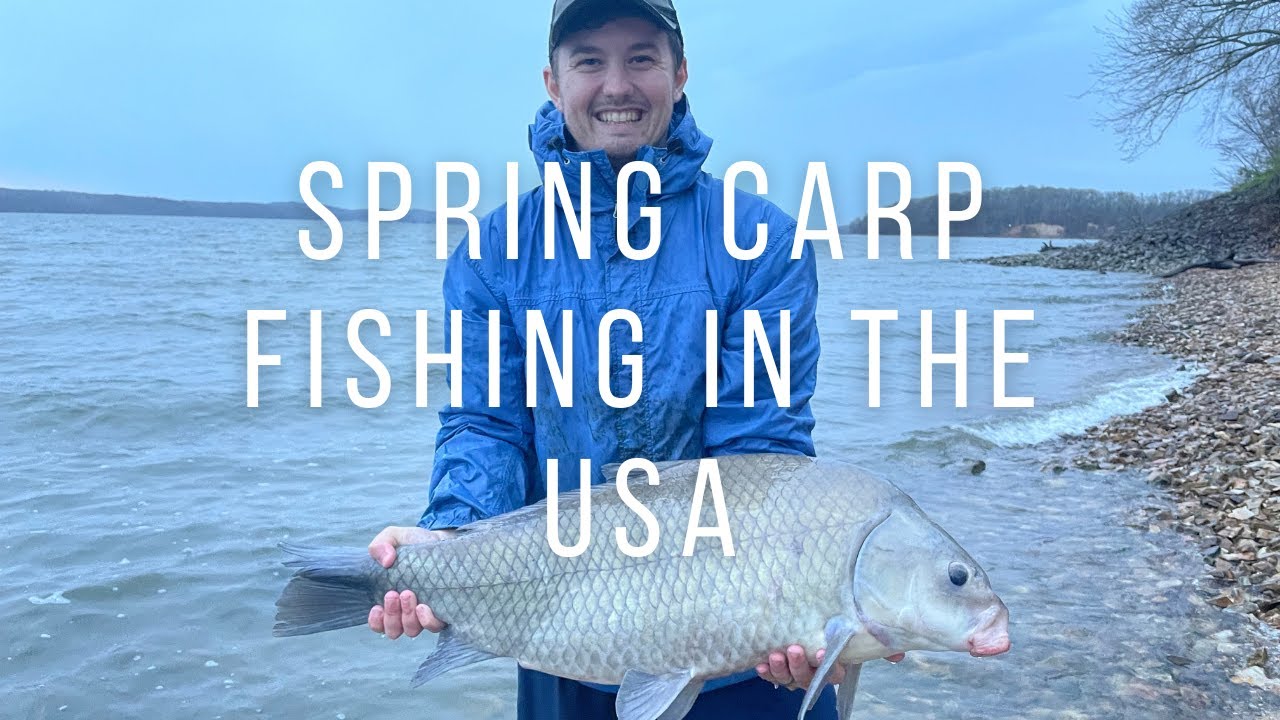 Spring carp fishing in the USA #carpfishing #karpfenangeln #karpfen ...