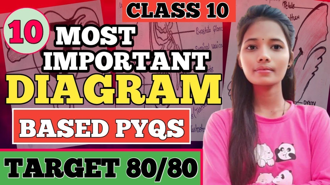Class 10th science diagram based PYQS - YouTube