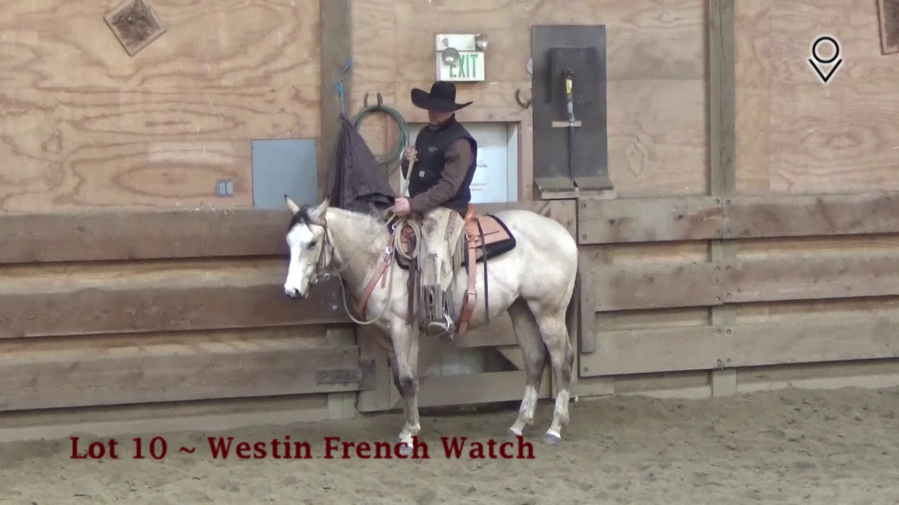 Lot 10 ~ Westin French Watch - YouTube