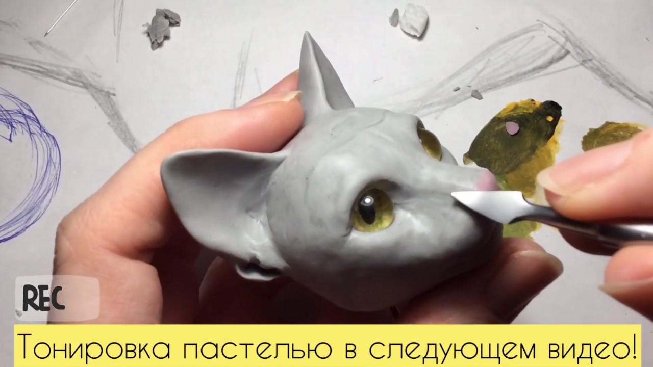 Sculpting cats portret. - YouTube