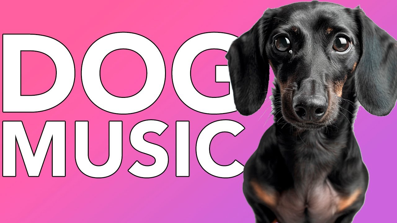 FAST-Acting Dog Music: The Best Sounds to Help Your Dog Sleep Easily ...