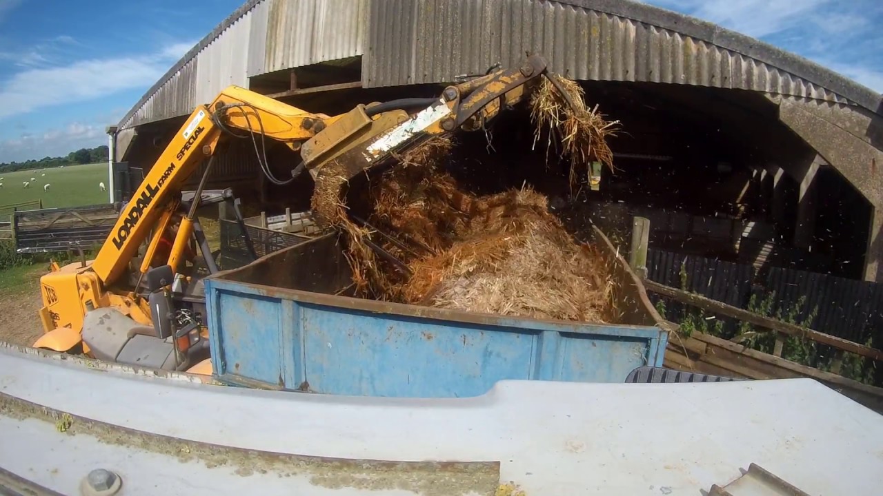 Mucking out - YouTube