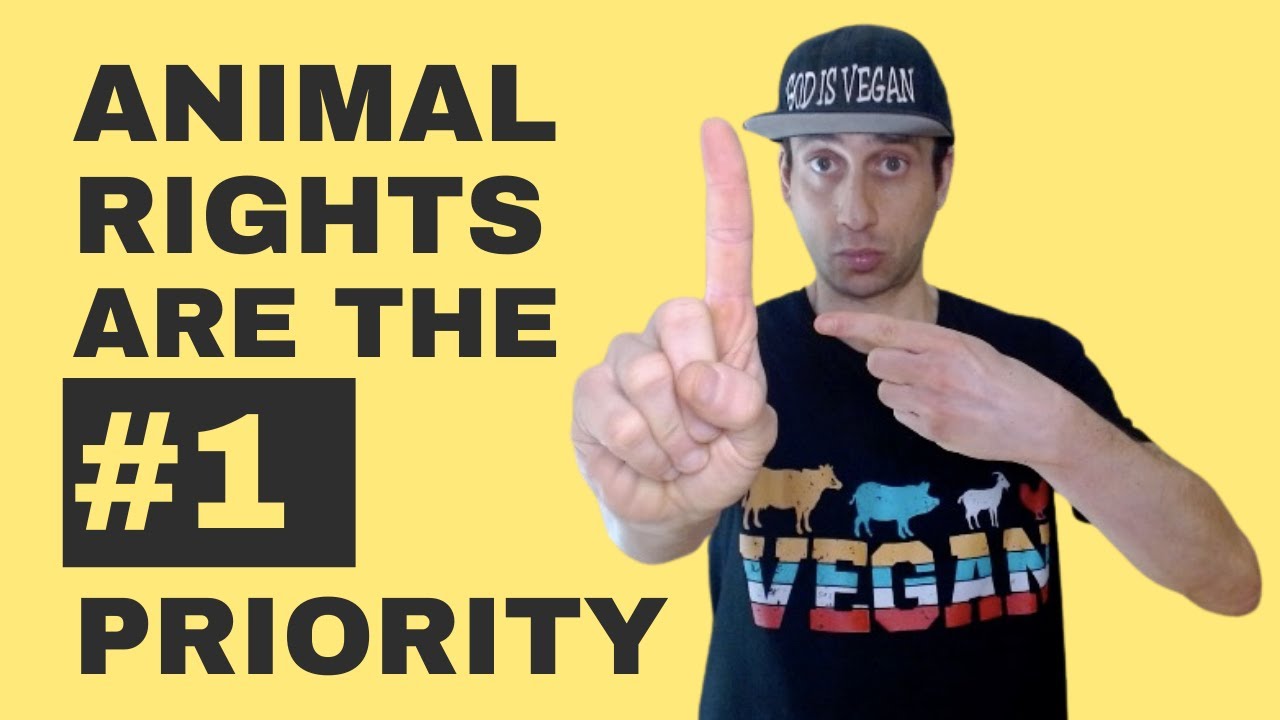 Human Exploitation is Predicated On Animal Exploitation! - YouTube