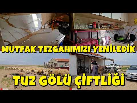 ÇİFTLİKTE TEMİZLİK GÜNÜ ,MUTFAK TEZGAHINI YENİLEDİK